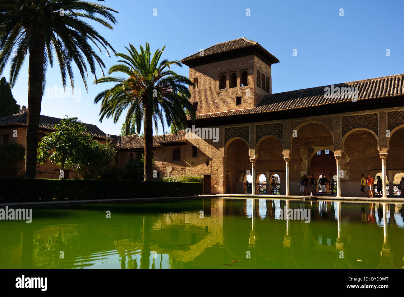 Palm trees at the Partal Palace at the Alhambra, Granada, Spain Stock ...