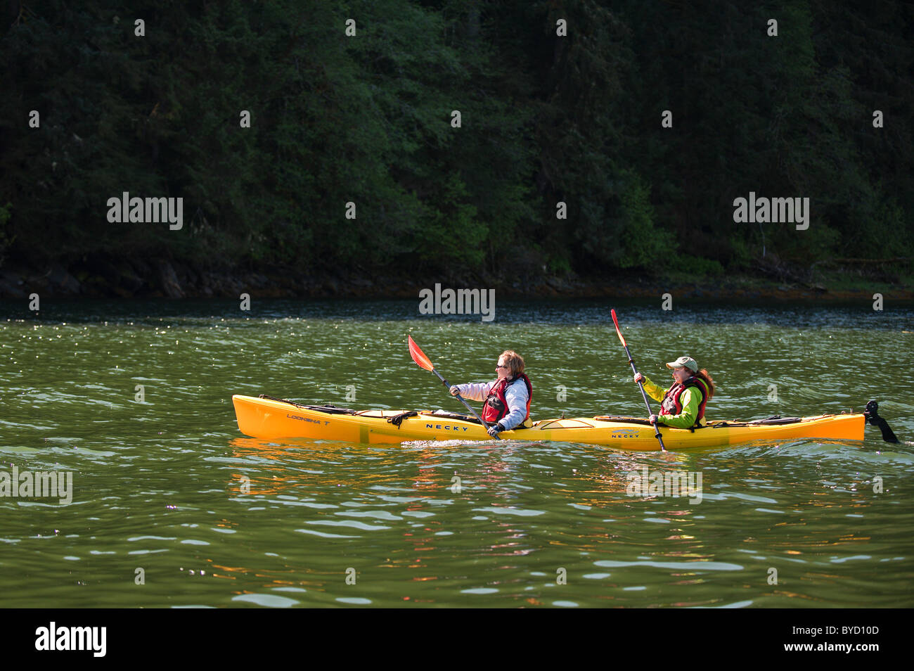 Alaska. Kayaking in Windham Bay in the Chuck River Wilderness Area ...