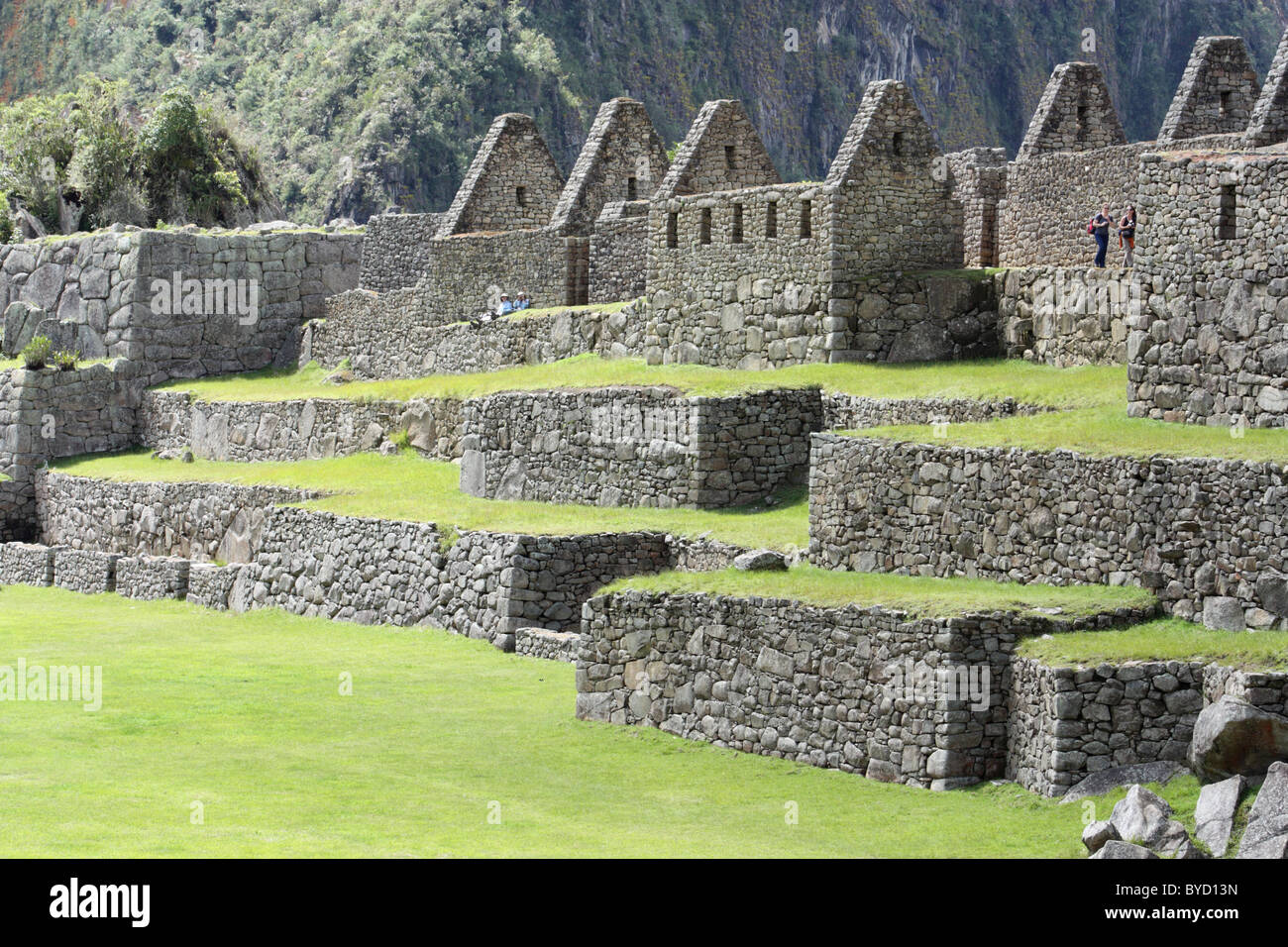 Terracing at Machu Picchu Stock Photo - Alamy