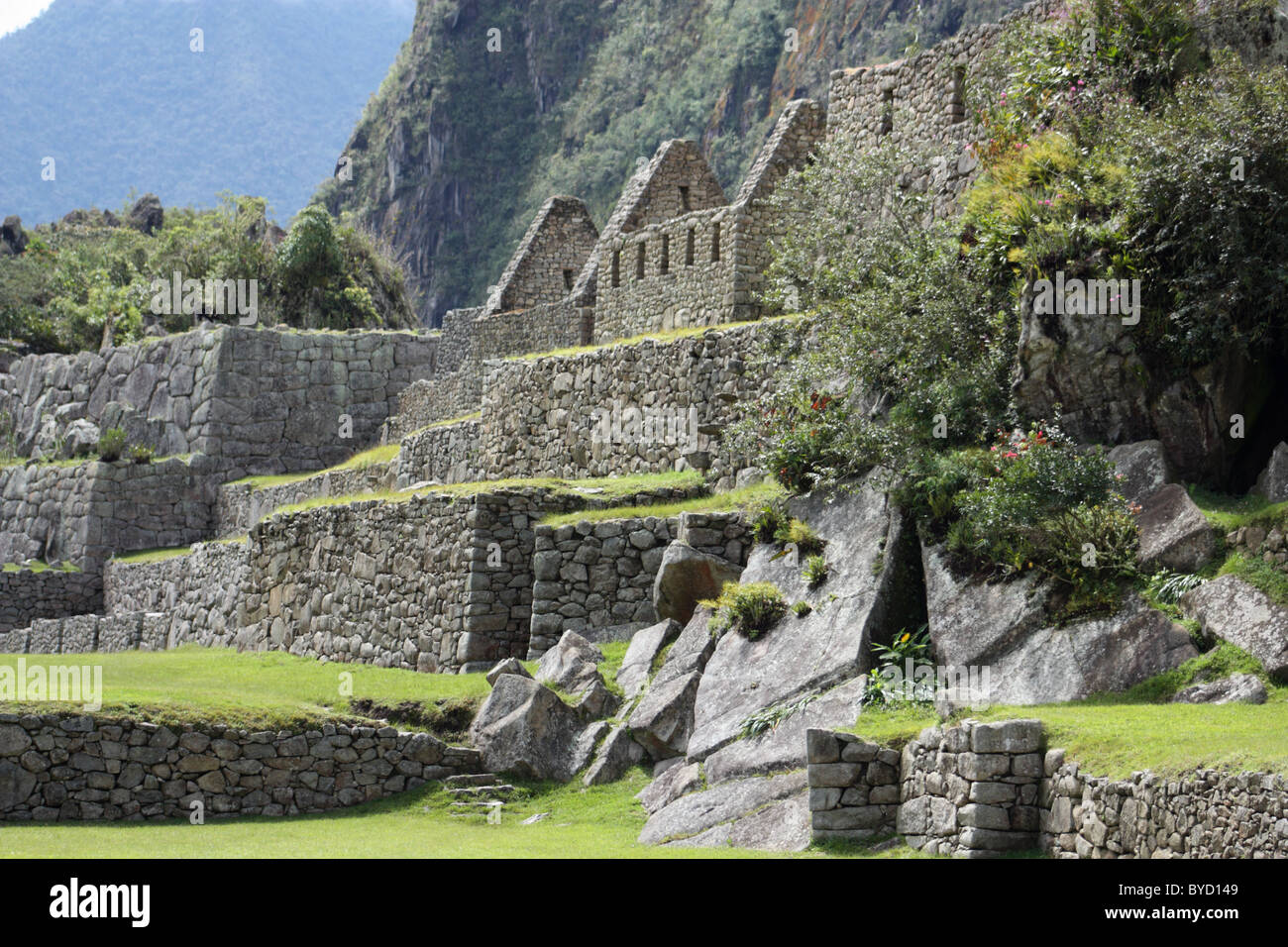 Terracing at Machu Picchu Stock Photo - Alamy