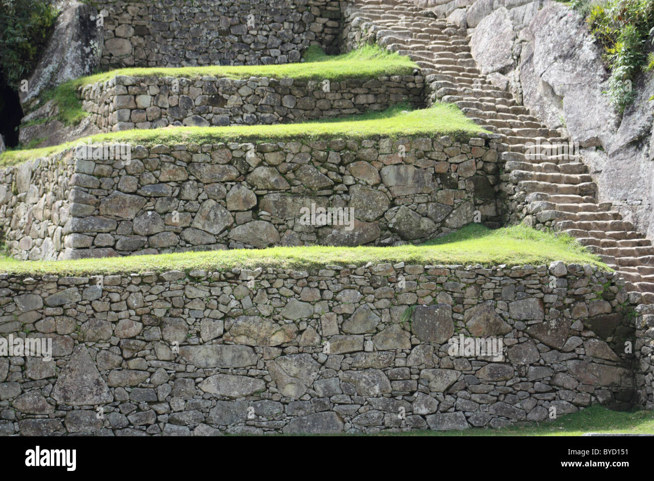 Terracing at Machu Picchu Stock Photo - Alamy