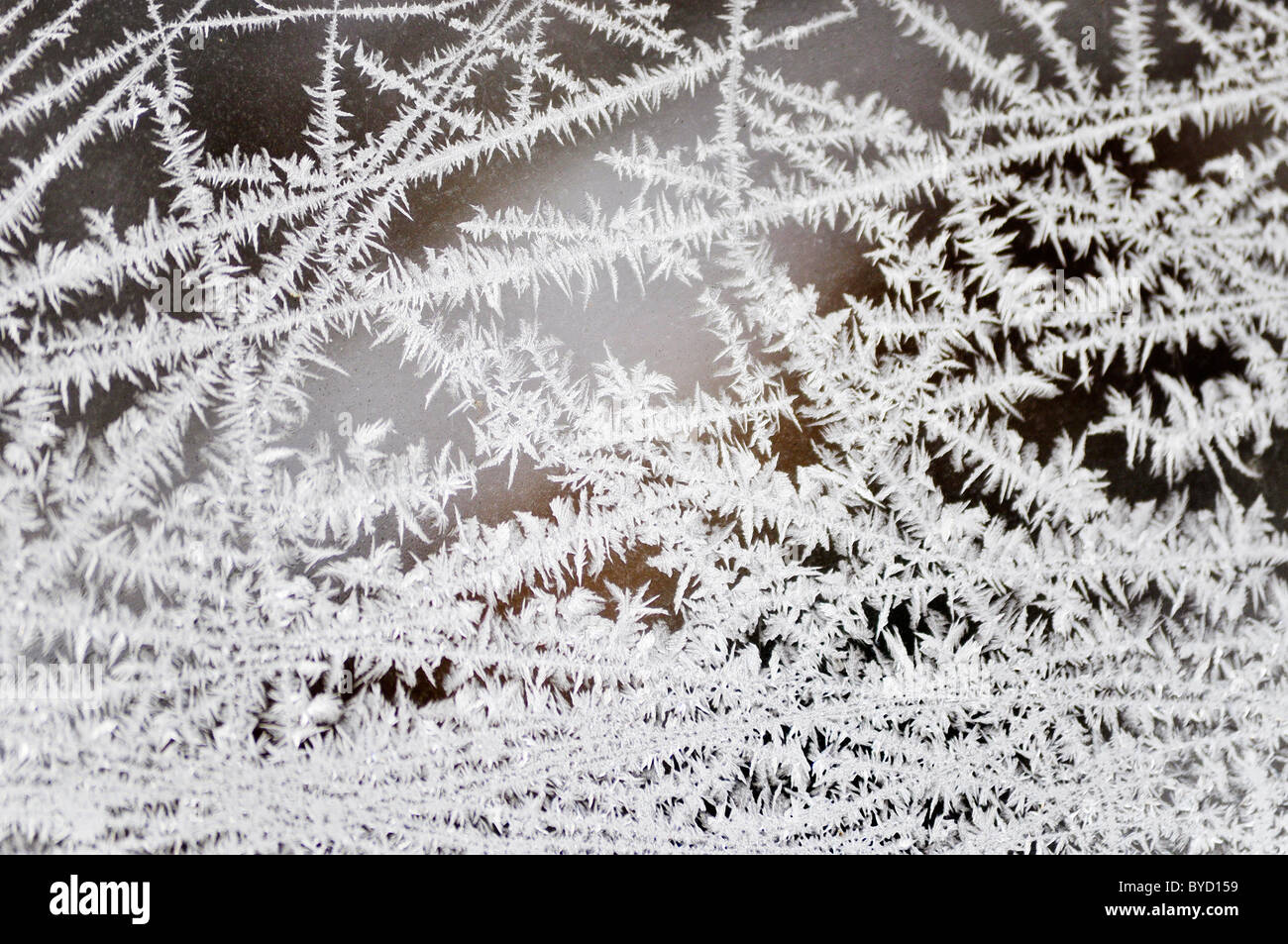 frozen ice crystals on a window Stock Photo - Alamy