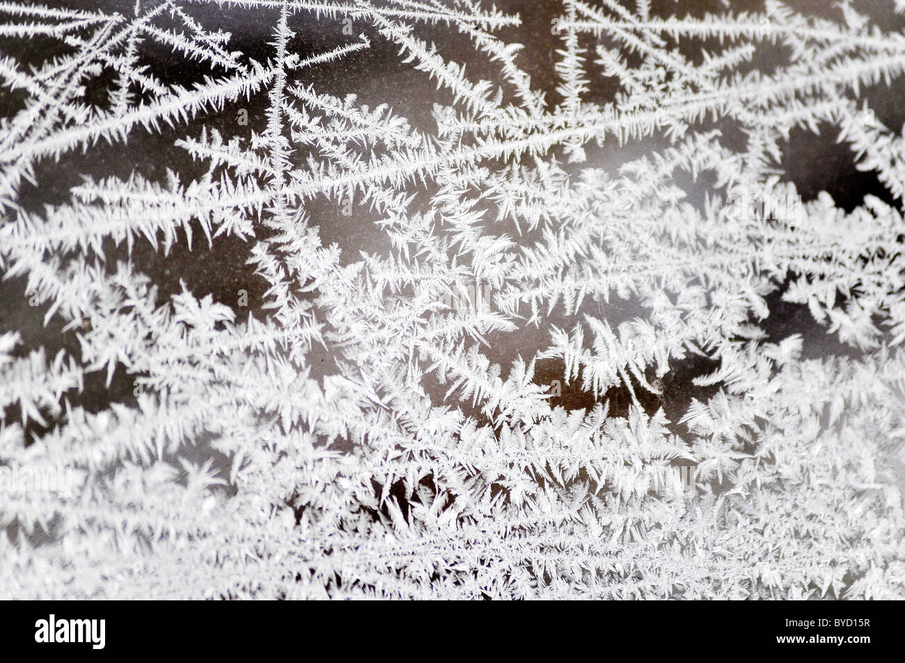 frozen ice crystals on a window Stock Photo - Alamy