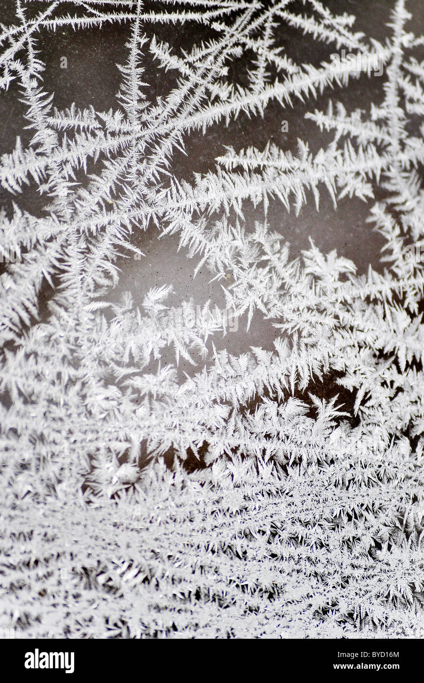 frozen ice crystals on a window Stock Photo - Alamy
