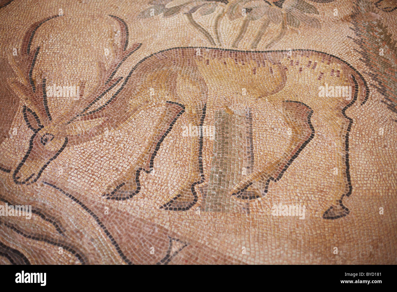 Floor tiles syria hi-res stock photography and images - Alamy