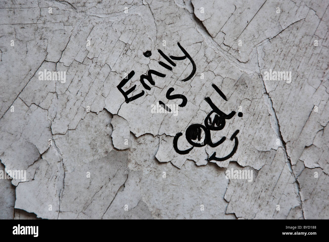 Emily In Graffiti Emily McElwreath Founder + CEO The Art Career