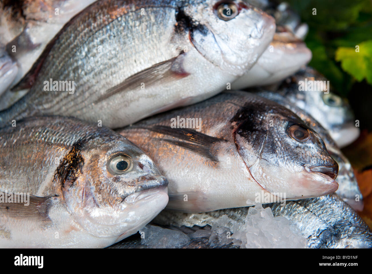 Fish in the shop for food purpose Stock Photo - Alamy