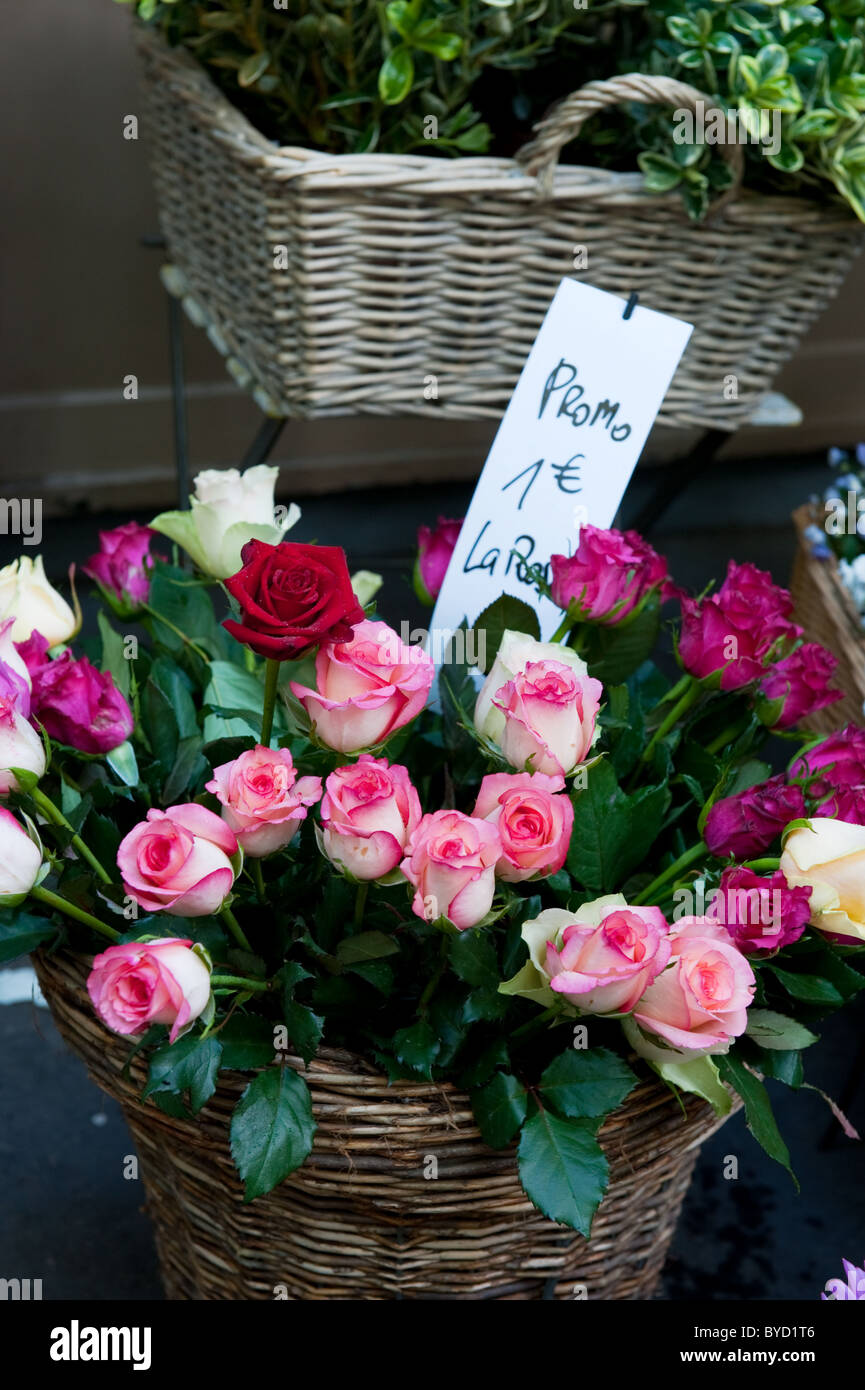French roses in pink and white in Paris Stock Photo - Alamy