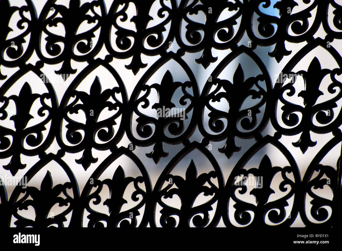 Graceful fence with French lily in Paris Stock Photo - Alamy
