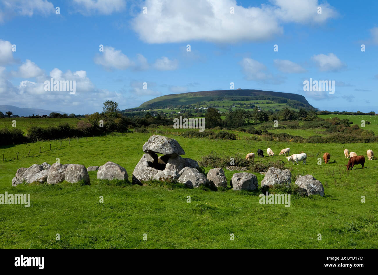 Megalithic prehistoric tomb hi-res stock photography and images - Alamy
