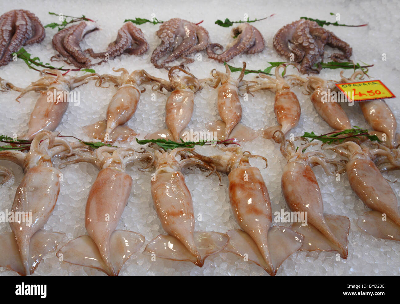 Octopus and Squid on sale at Athens Central Fish Market, Athinas Street ...
