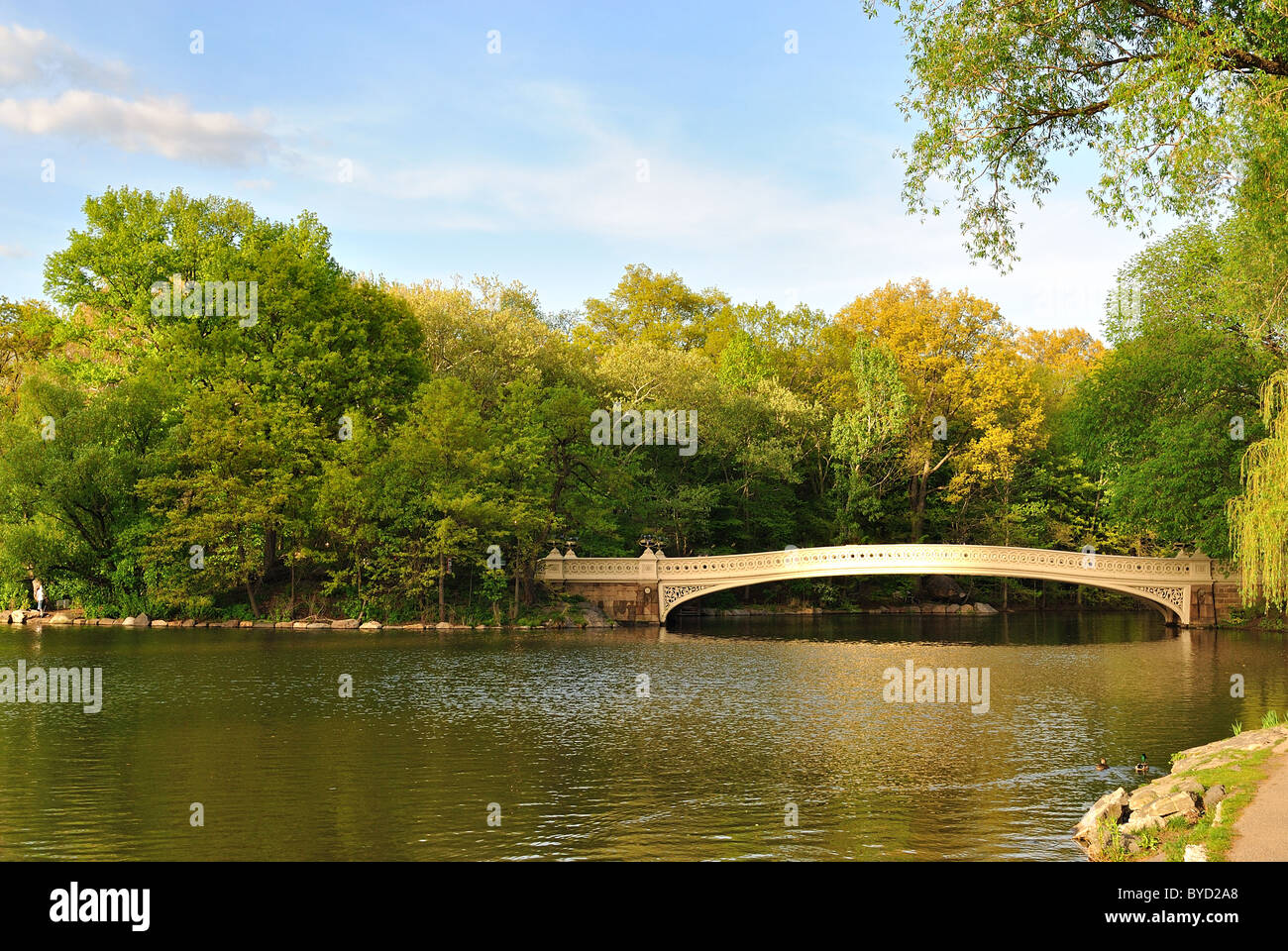 The Bow Bridge spanning The Lake in Central Park in the middle of New ...