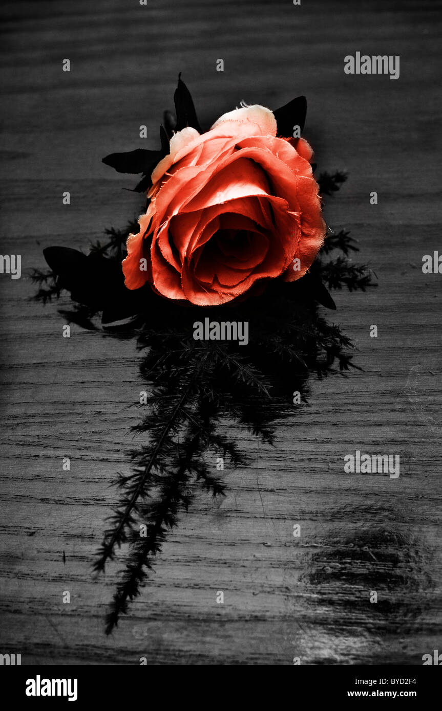 Plastic rose hi-res stock photography and images - Alamy