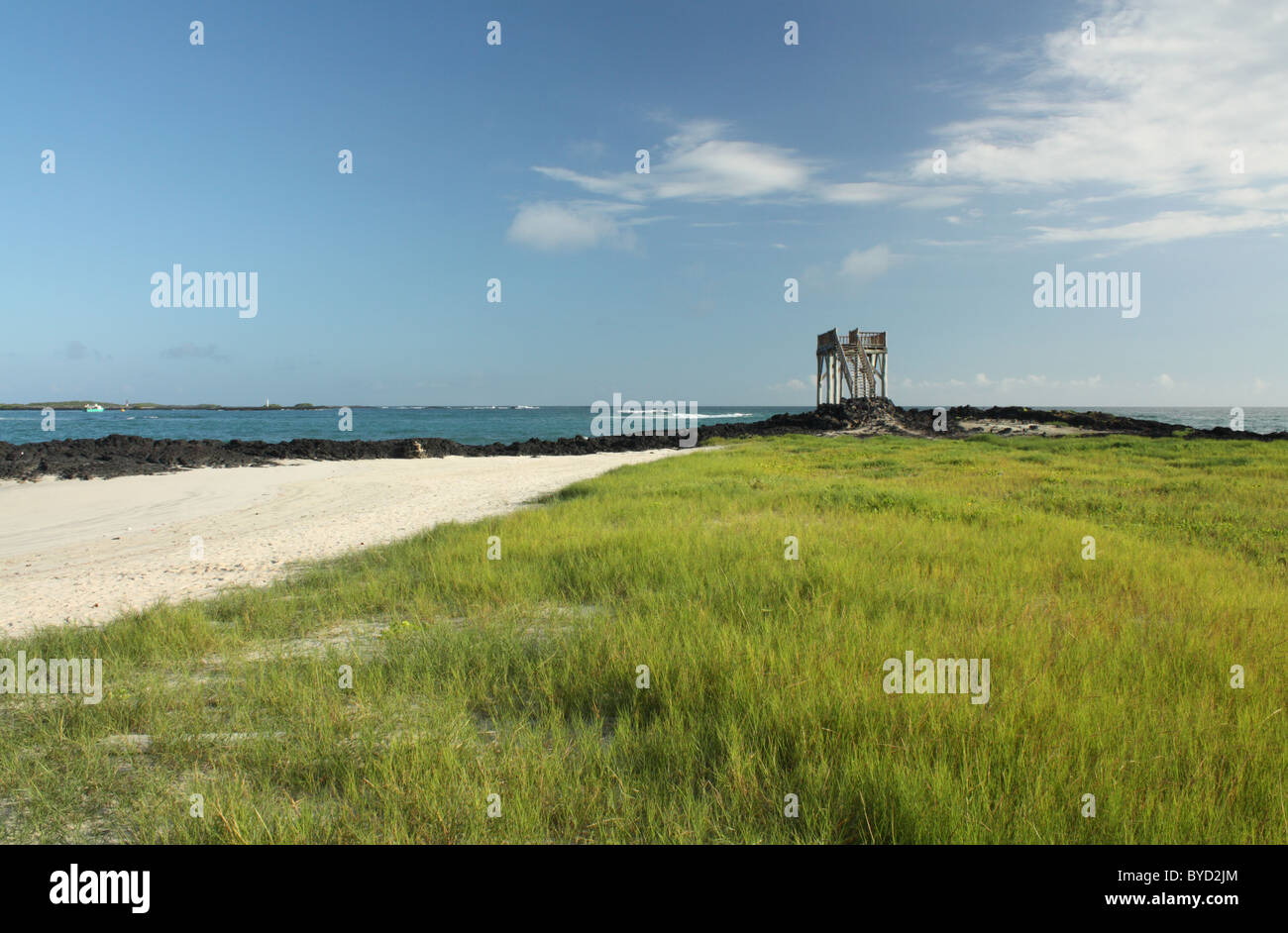 Lookout platform hi-res stock photography and images - Alamy