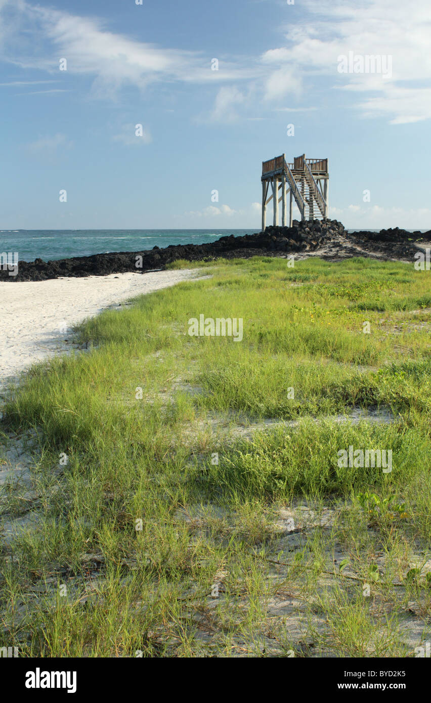 Lookout platform hi-res stock photography and images - Alamy