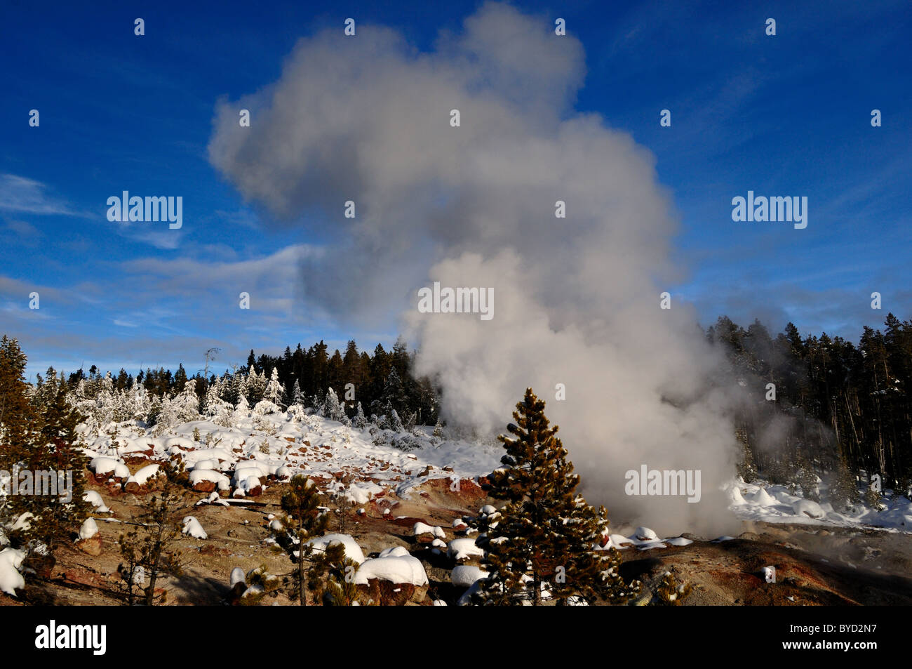 Geyser yellowstone snow hi-res stock photography and images - Alamy