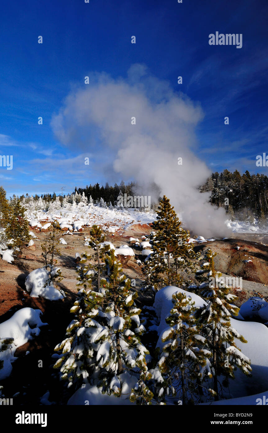 Geyser yellowstone national park hi-res stock photography and images ...