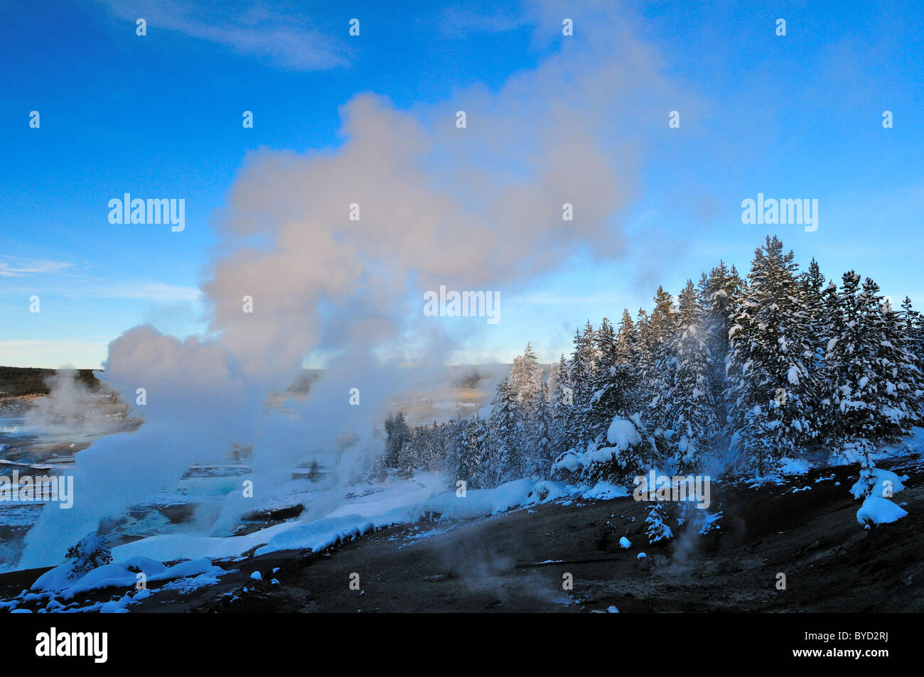 Steam rising from fumarole. Norris Geyser Basin, Yellowstone National ...