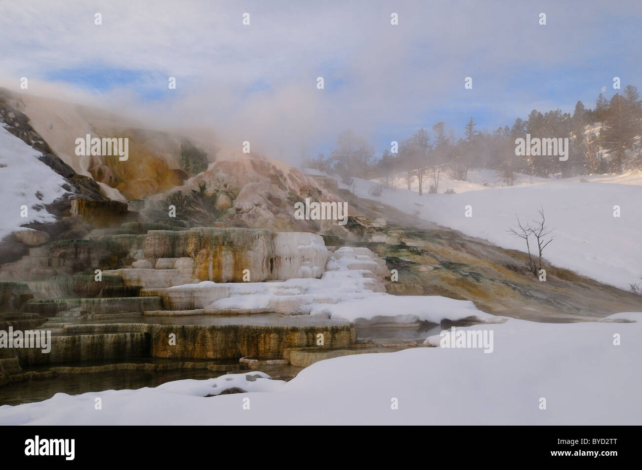 Mammoth hot springs yellowstone terrace hi-res stock photography and ...