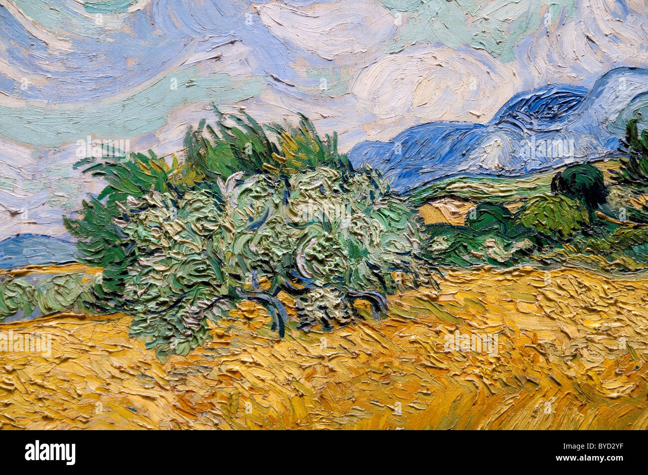 Detail: Wheat Field with Cypresses, 1889, by Vincent van Gogh Stock ...