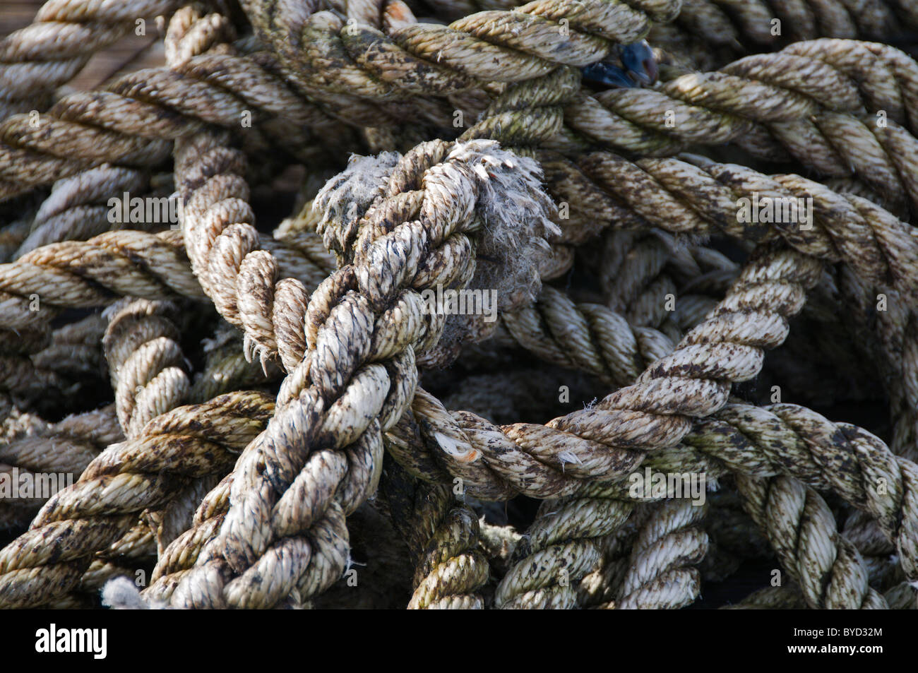 Weathered Rope High Resolution Stock Photography and Images - Alamy