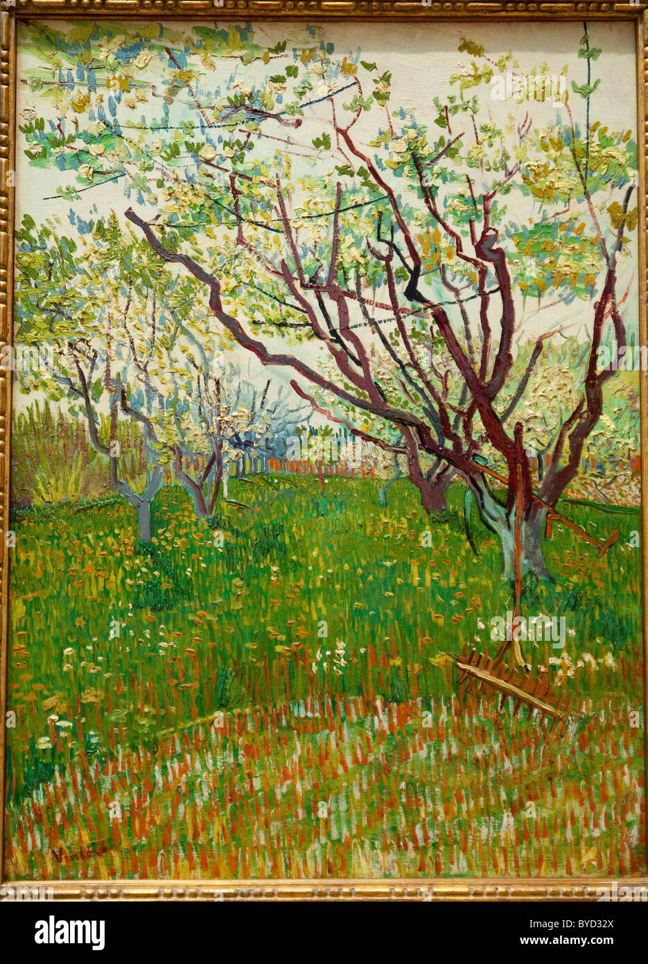 The Flowering Orchard, 1888, by Vincent van Gogh Stock Photo - Alamy