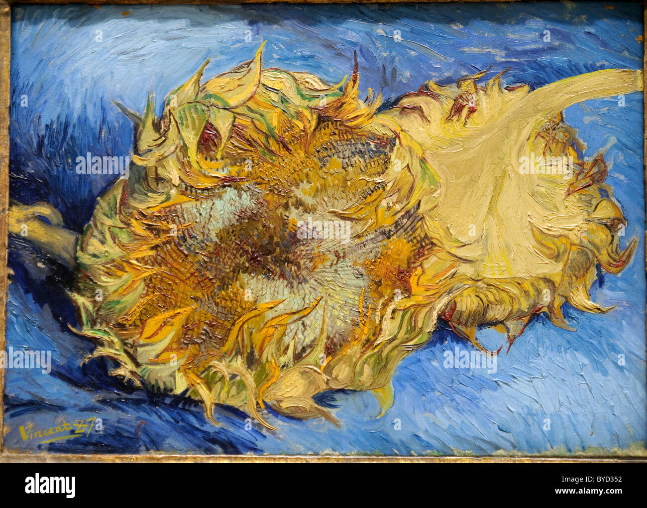 Van gogh sunflowers painting hi-res stock photography and images - Alamy