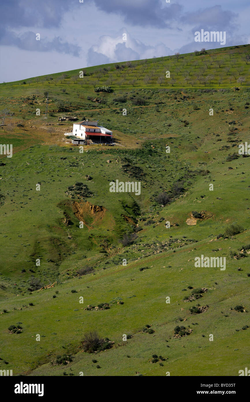 Barren hillside hi-res stock photography and images - Alamy