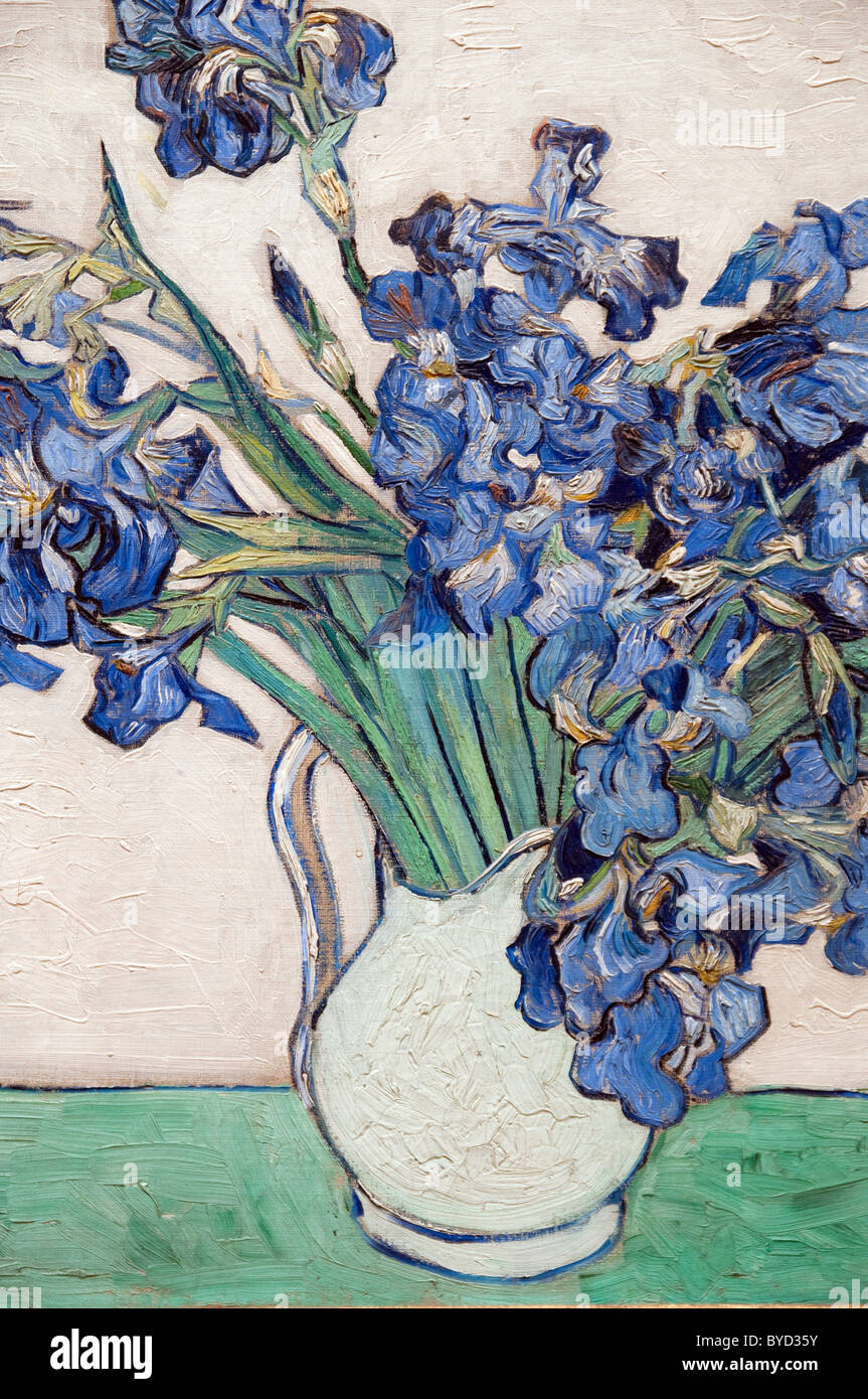 Irises van gogh hi-res stock photography and images - Alamy