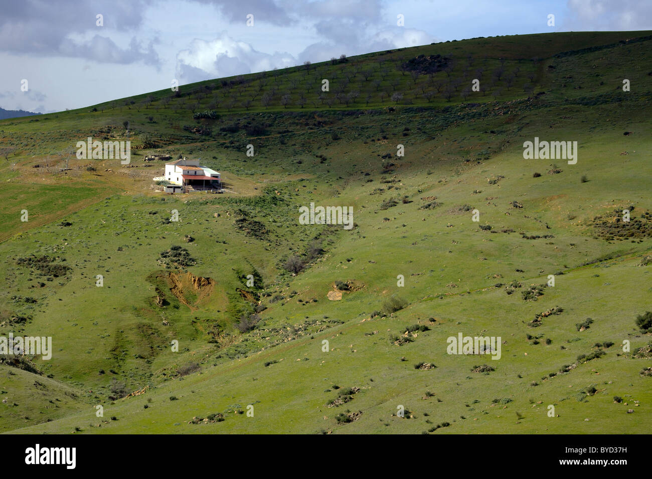 House in the middle of nowhere, barren,treeless hillside, Andalucia ...