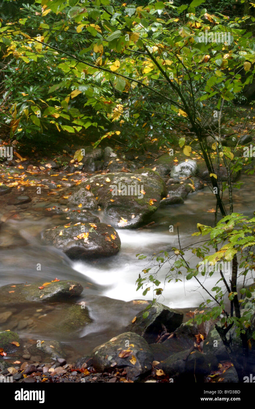 Flowing Water in Roaring Forks in Great Smoky Mountains National Park ...