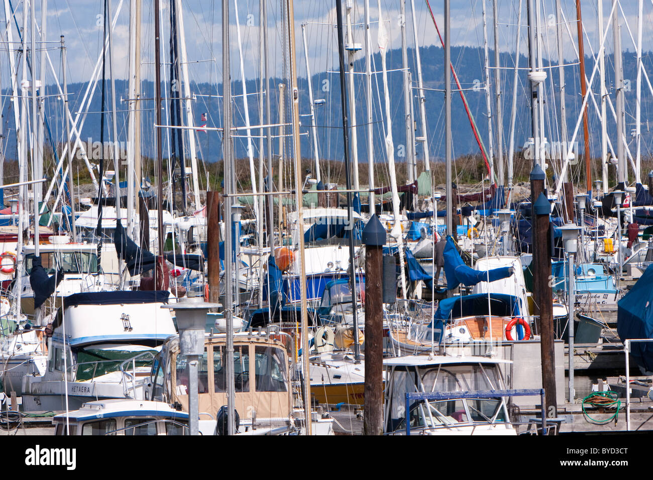 Boats at the Oak Bay Marina in Oak Bay, BC, Canada Stock Photo - Alamy
