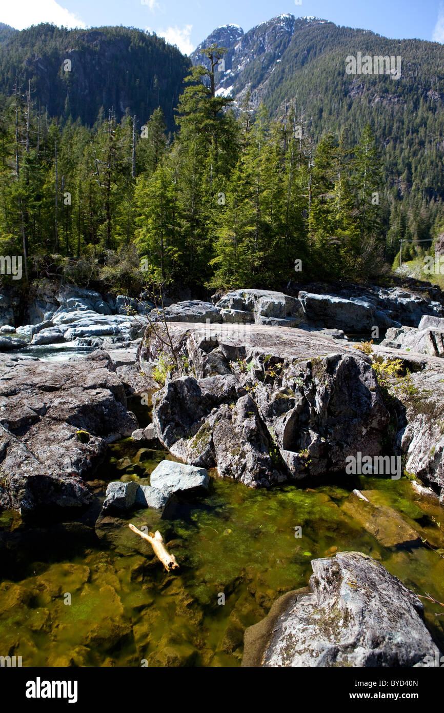 A pool of water above a river on Vancouver Island, BC, Canada Stock ...