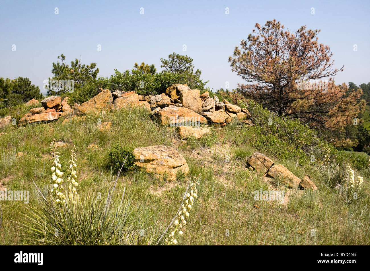Midwest wyoming hi-res stock photography and images - Alamy