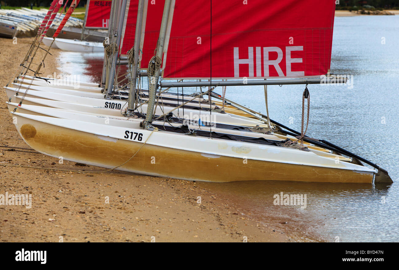 River Catamarans High Resolution Stock Photography and Images - Alamy
