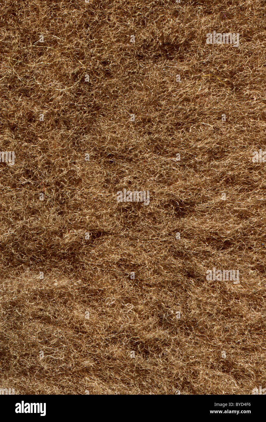 Macro fur hi-res stock photography and images - Alamy