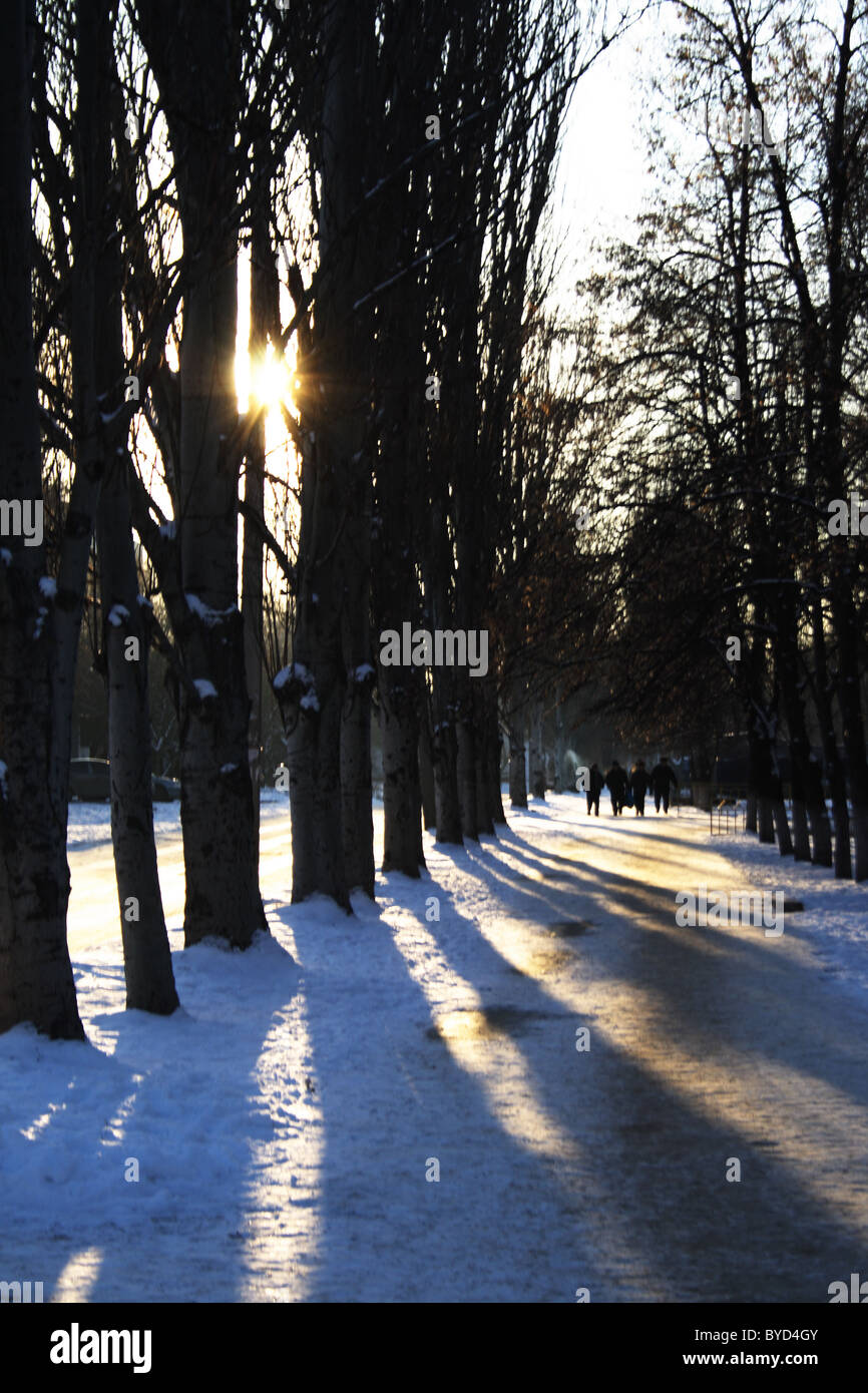 15 degrees hi-res stock photography and images - Alamy