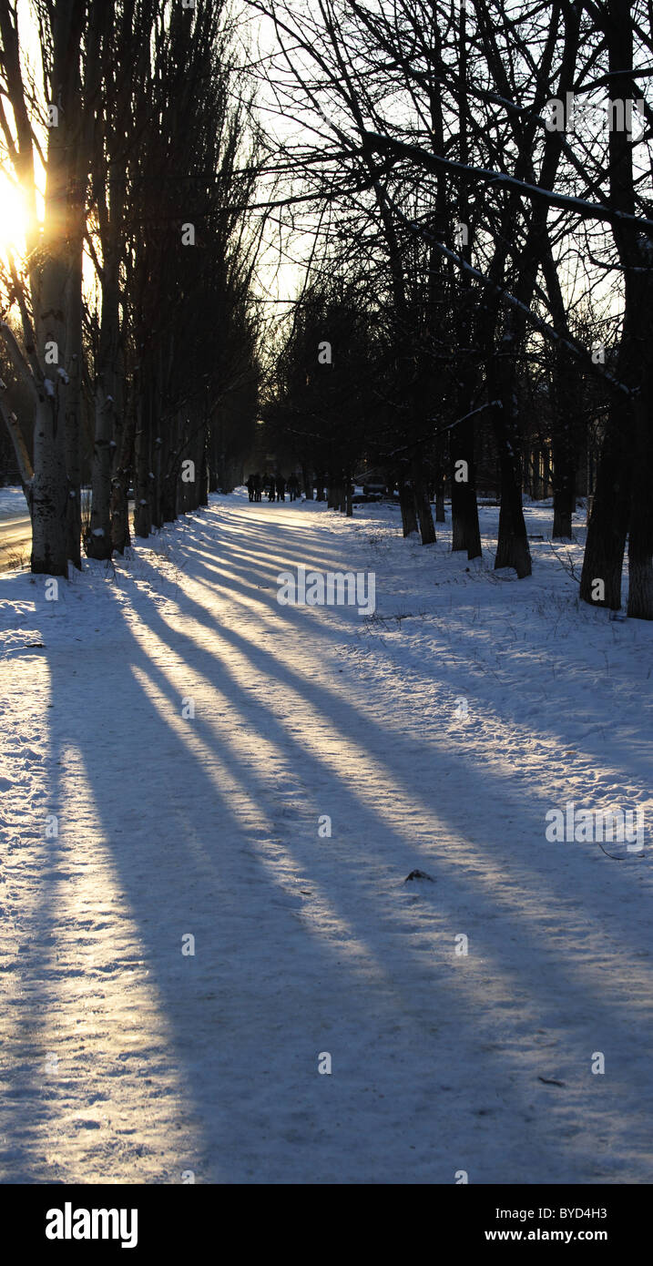 -15 degrees Celsius Stock Photo - Alamy