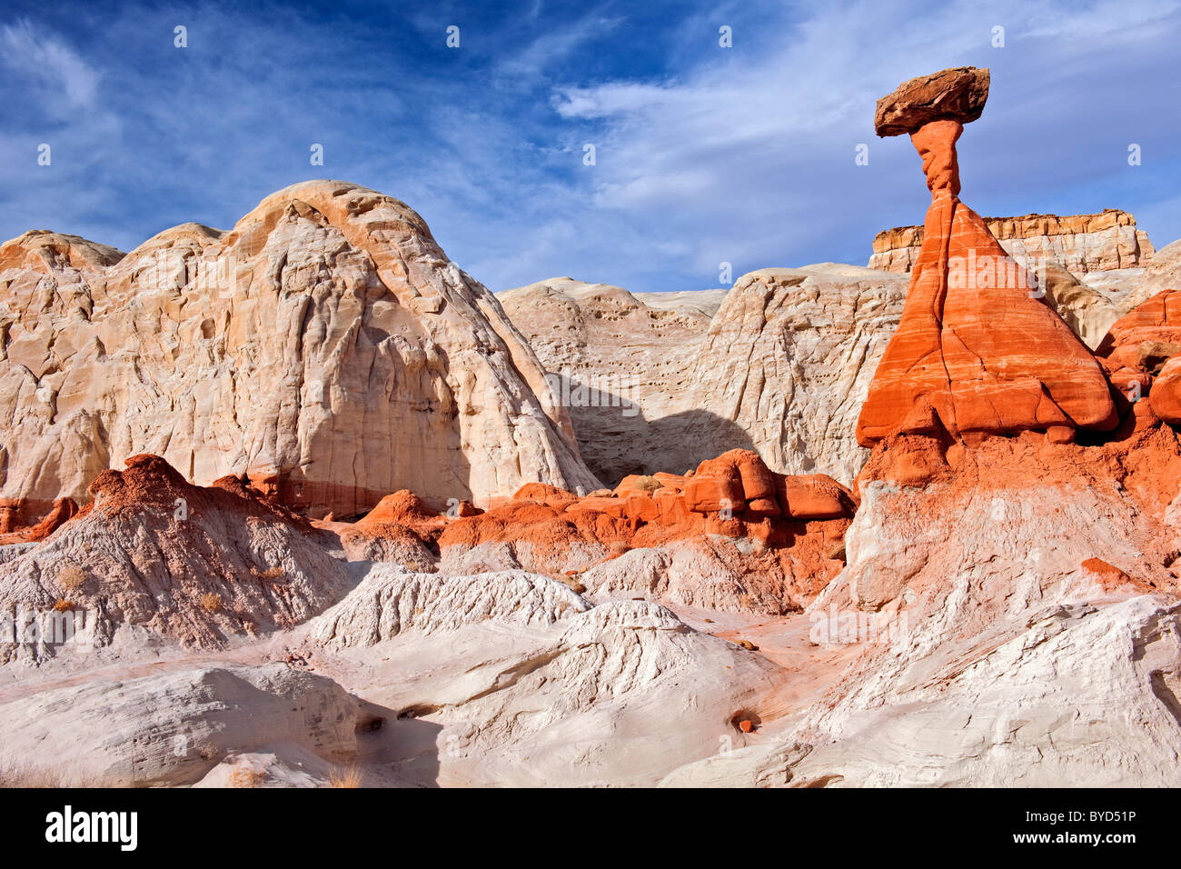 Sandstone formations called “toadstools” supported on rock columns in ...