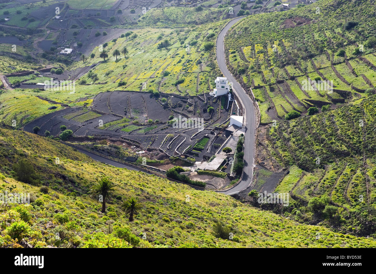Terrace farming hi-res stock photography and images - Alamy