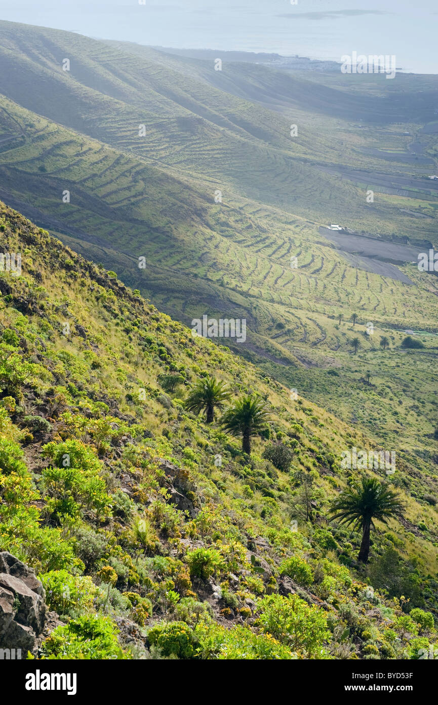 Terrace farming hi-res stock photography and images - Alamy