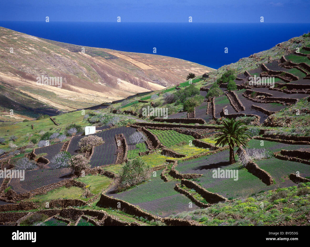 Terrace farming hi-res stock photography and images - Alamy