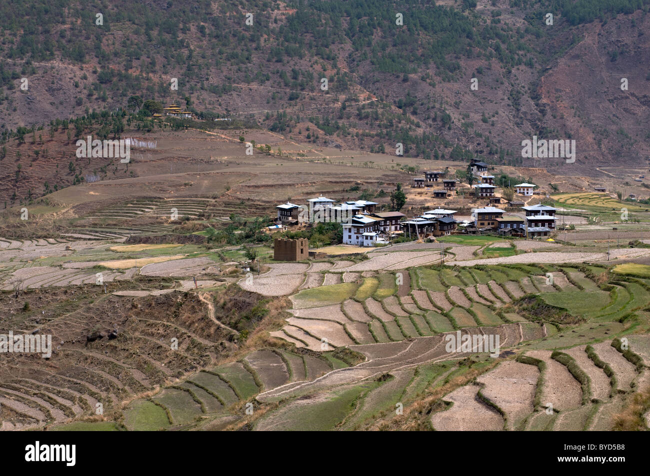 Chimi lhakhang temple hi-res stock photography and images - Alamy