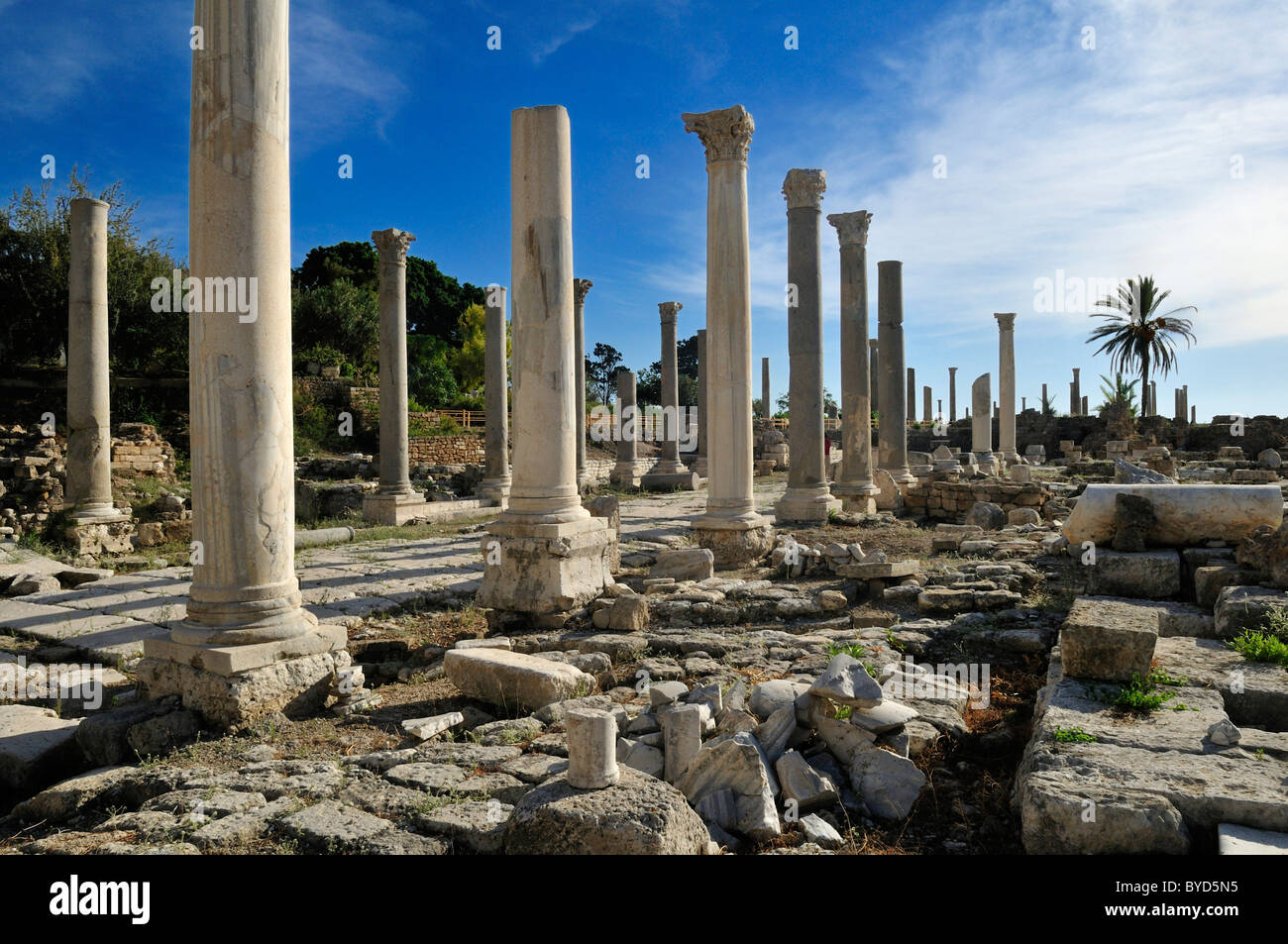 Tyre lebanon hi-res stock photography and images - Alamy