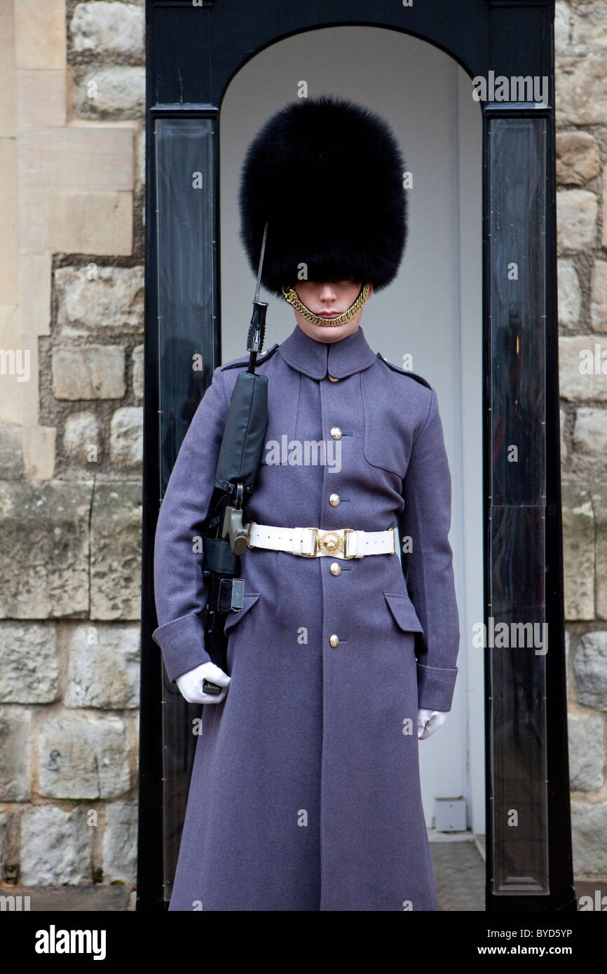 Guard at the Tower of London, London, England, United Kingdom, Europe ...