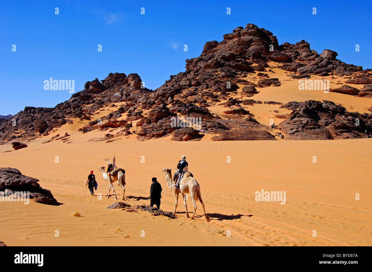 Tourists riding on Mehari camels of the Tuareg nomads passing through ...