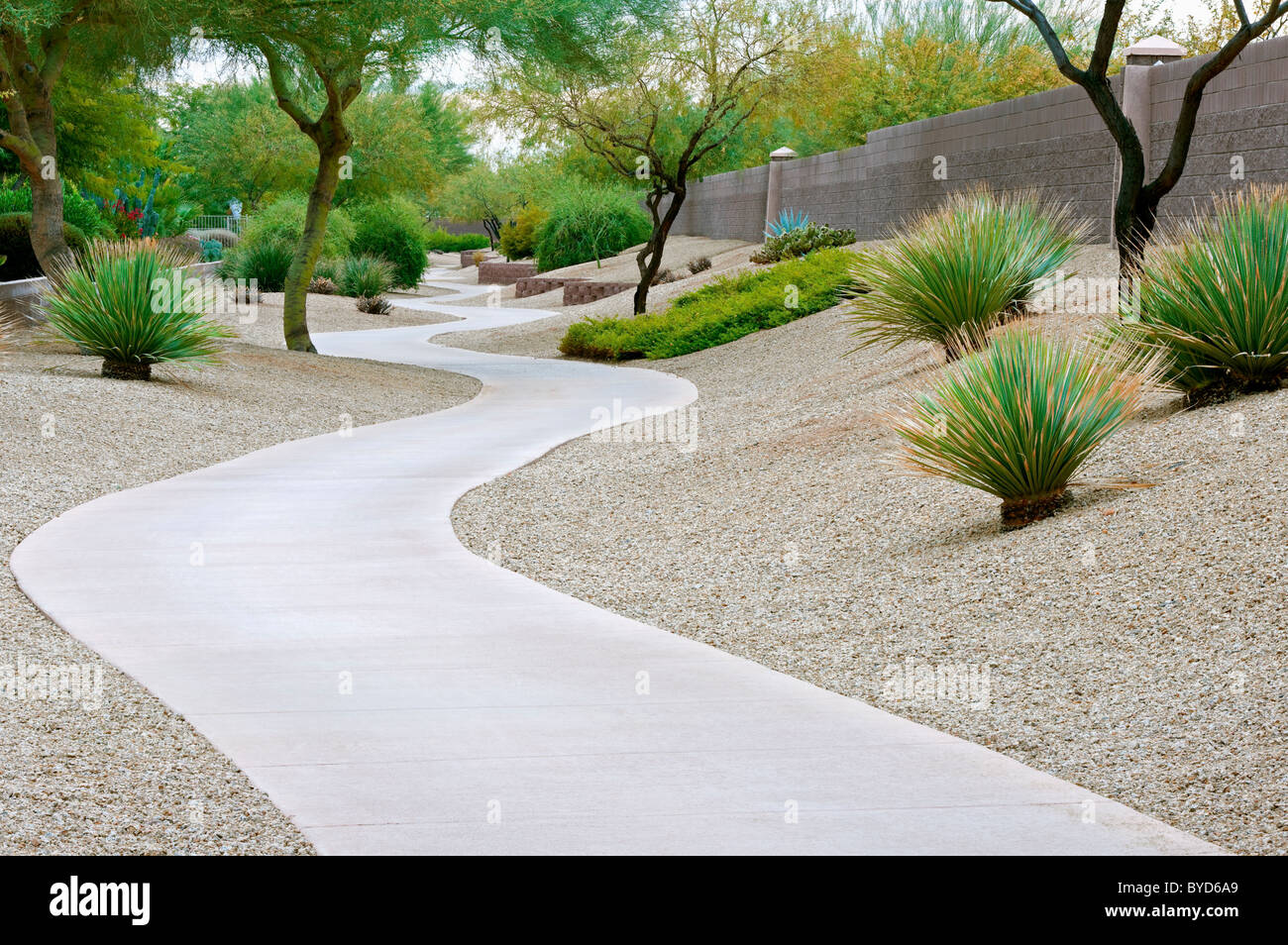 This walking path weaves its way through the desert plants in Surprise ...
