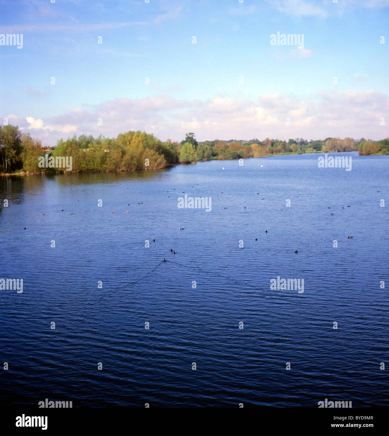 Alton Water reservoir Suffolk England Stock Photo - Alamy