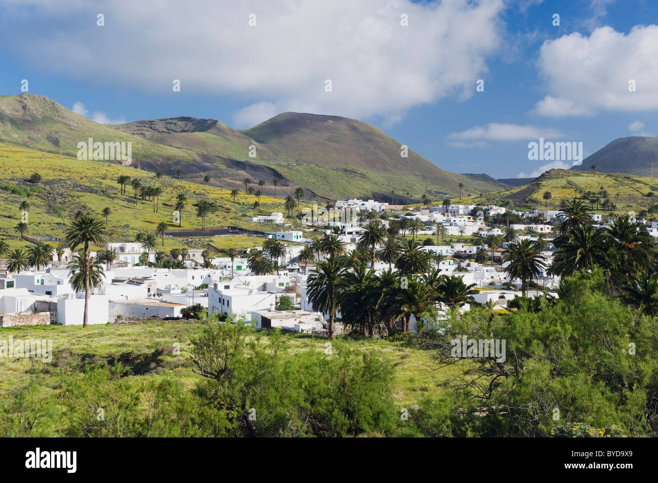 Haria lanzarote palm trees hi-res stock photography and images - Alamy