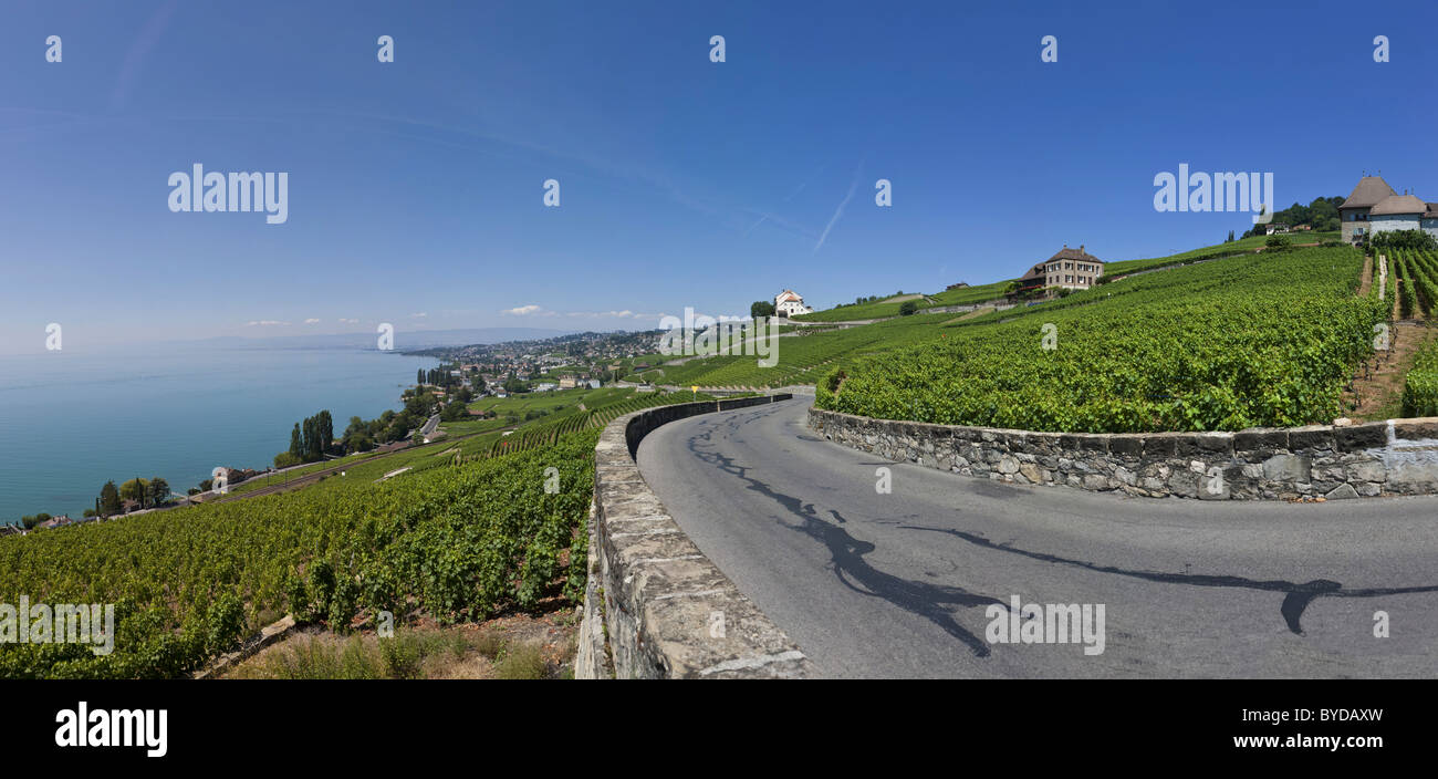 Cully hi-res stock photography and images - Alamy